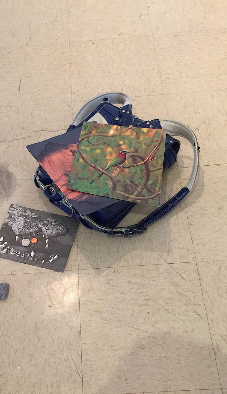 Mark Salvatus – Field Trip Project Asia